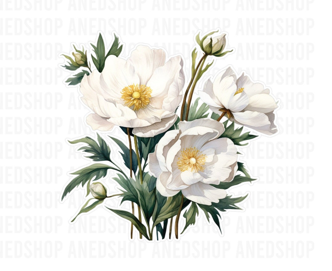 Flower Iron on Transfer Peonies Flower Heat Transfer Design Floral ...