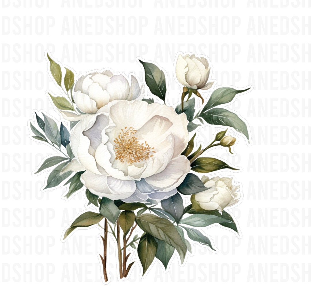 Flower Iron on Transfer Peonies Flower Heat Transfer Design Floral ...