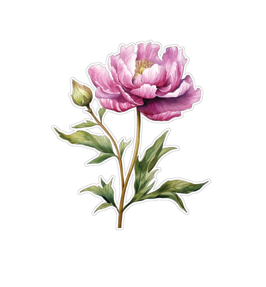 Flower Iron on Transfer Peonies Flower Heat Transfer Design Floral ...