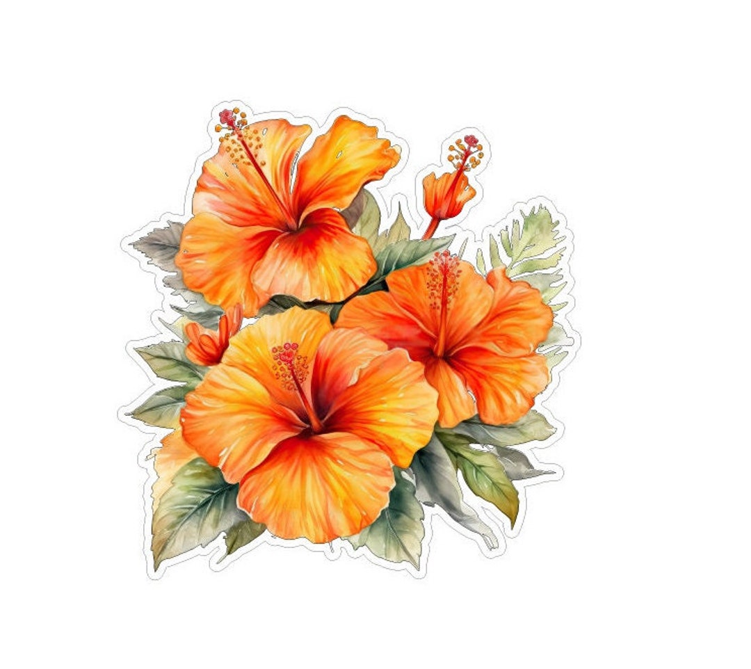 Flower Iron on Transfer Hibiscus Flowers Iron on Vinyl Heat Transfer ...
