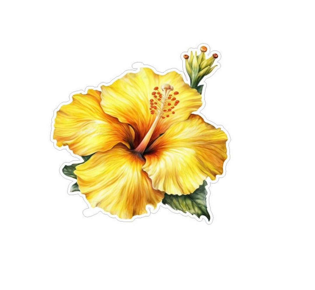 Flower Iron on Transfer Hibiscus Flowers Iron on Vinyl Heat Transfer ...