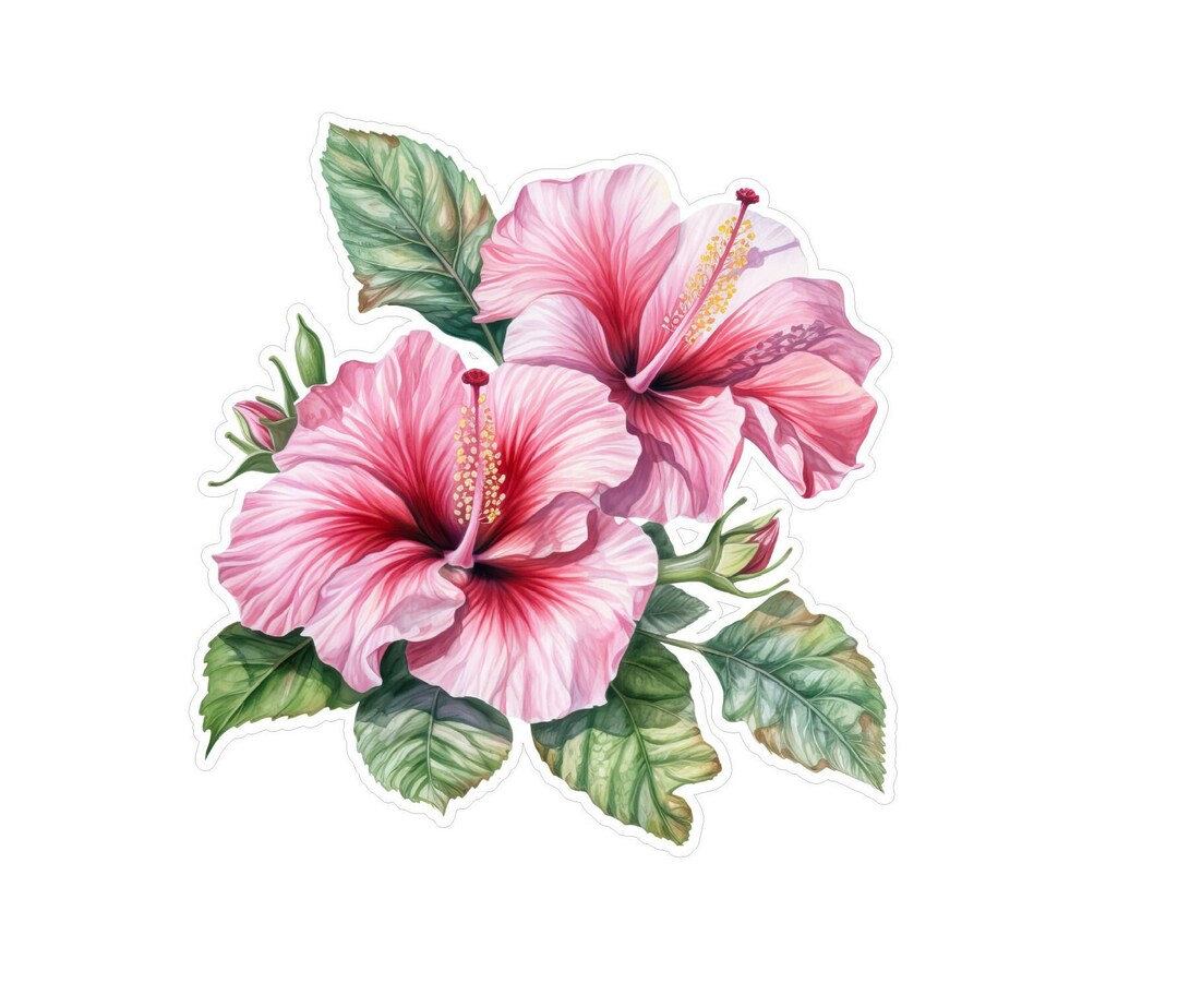 Flower Iron on Transfer Hibiscus Flowers Iron on Vinyl Heat Transfer or ...