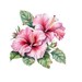Flower Iron on Transfer Peonies Flower Heat Transfer Design Floral ...