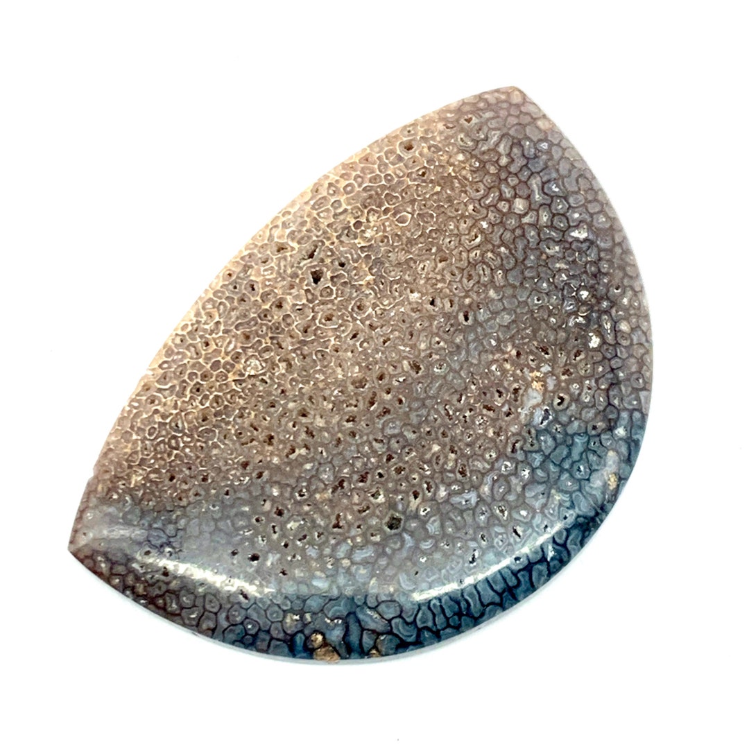 Fossilized Bone Cabochon 58 X 40 X 5.5 Mm From California - Etsy Israel