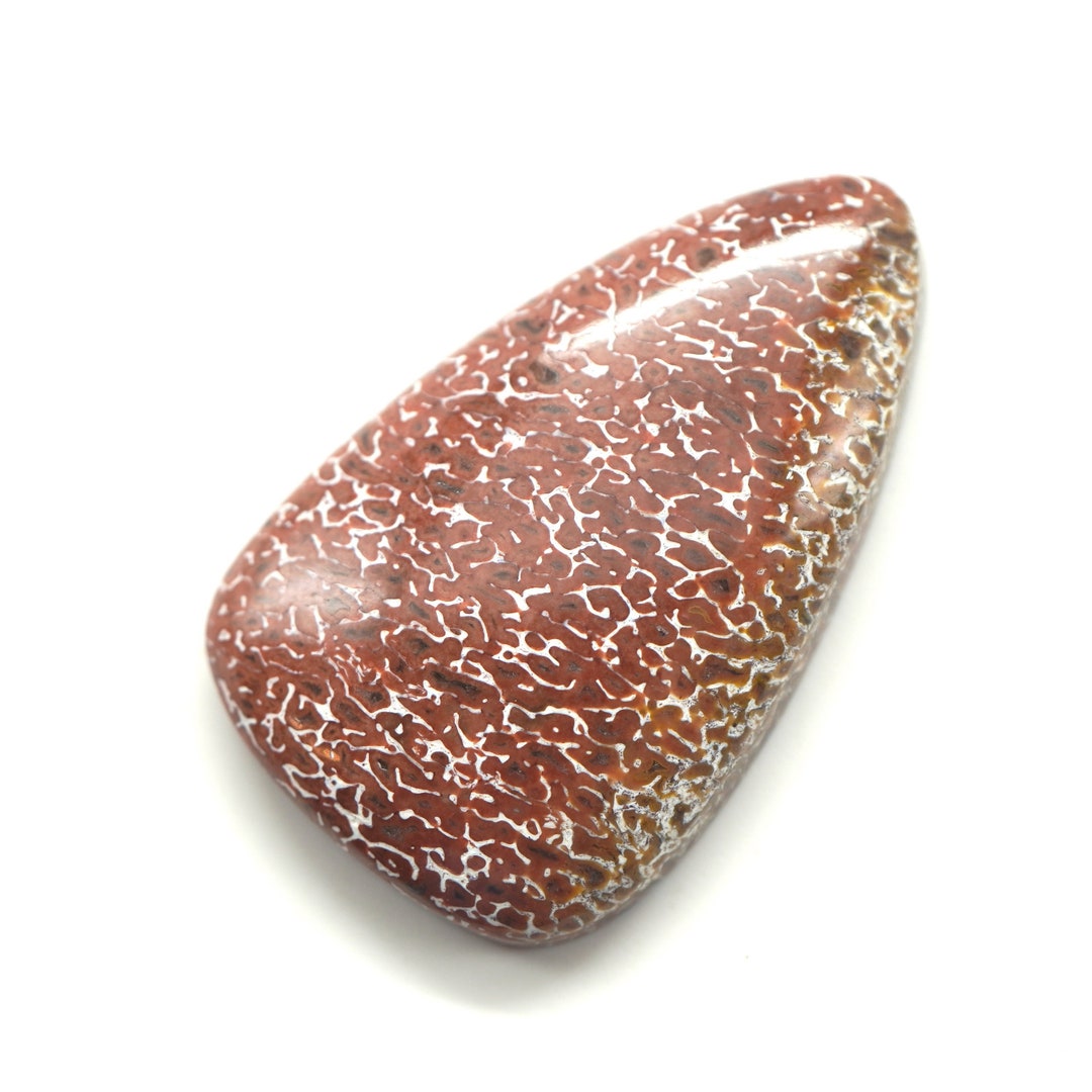 Red Fossilized Dinosaur Bone Cabochon 40 X 25 X 7 Mm From Morocco - Etsy