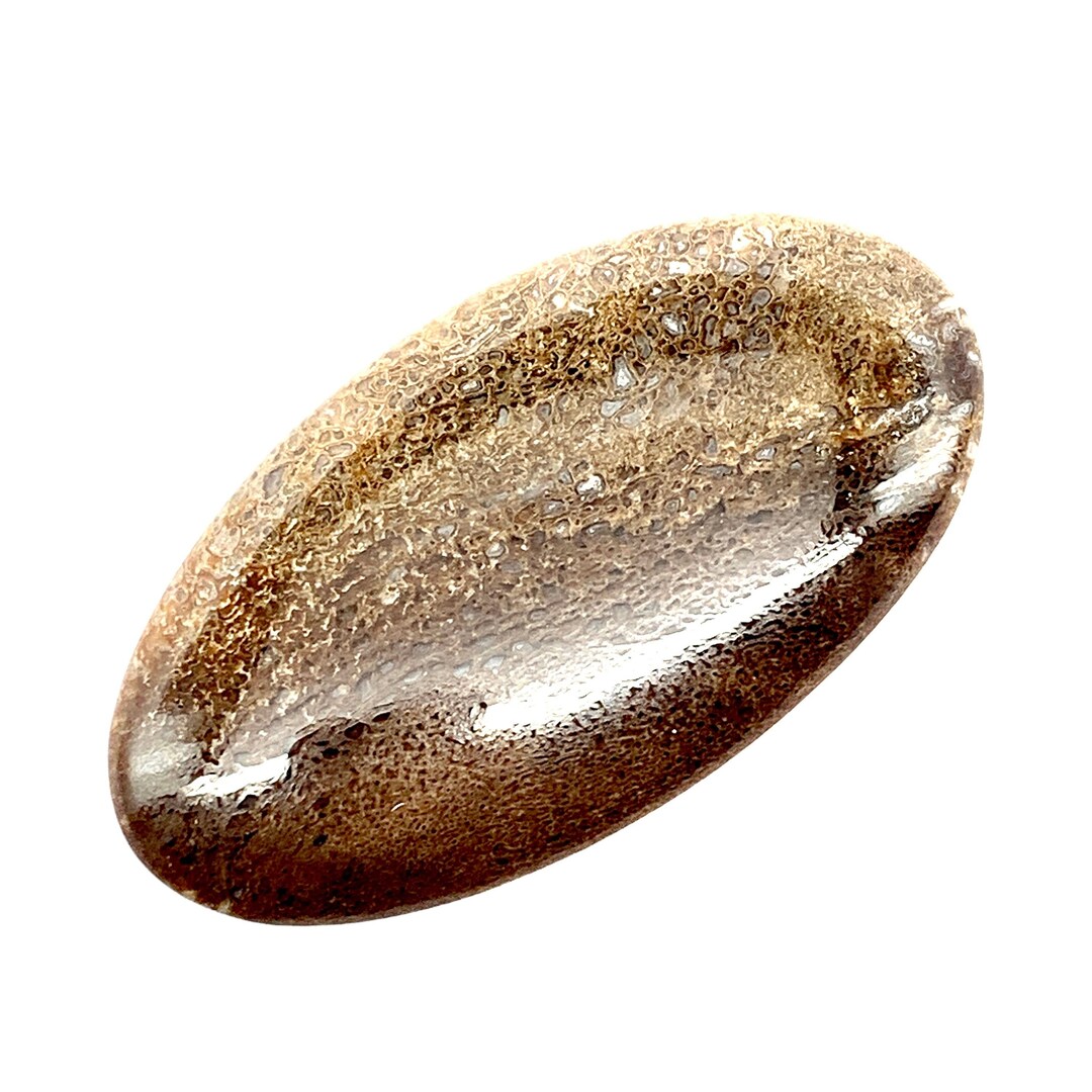 Fossilized Dinosaur Bone Cabochon 70 X 38 X 6 Mm From Utah Colorado or ...