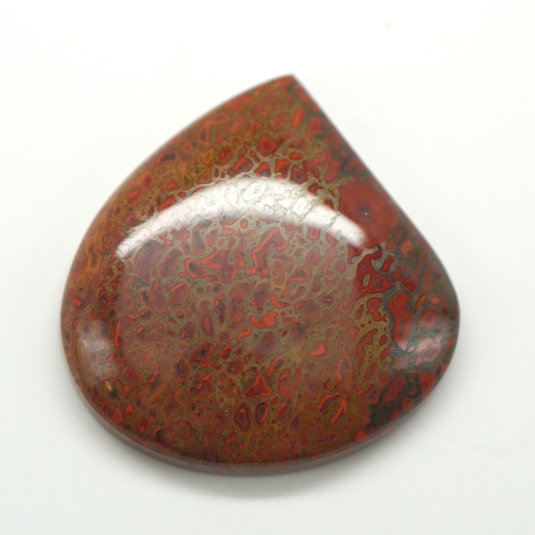 Fossilized Dinosaur Bone Cabochon 30 X 29 X 6 Mm From Utah or - Etsy