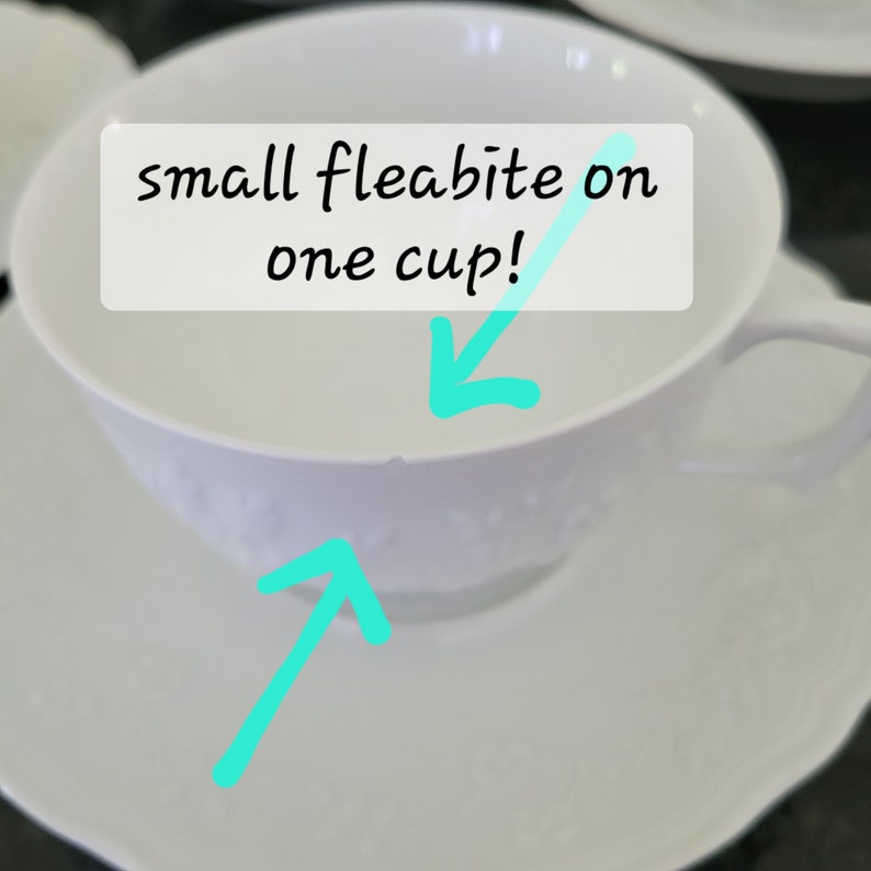 Vintage Raynaud Limoges Hawthorne Tea Cups and Saucers, Set of 10 - Etsy