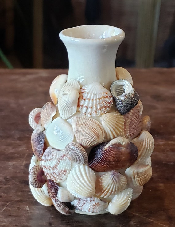 Vintage Shell Vase 1950s Galveston Texas Shell Vase Souvenir | Etsy