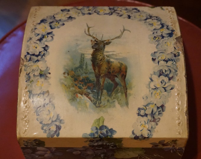 Antique Late 19th Century Stag Celluloid Domed Box With Floral ...