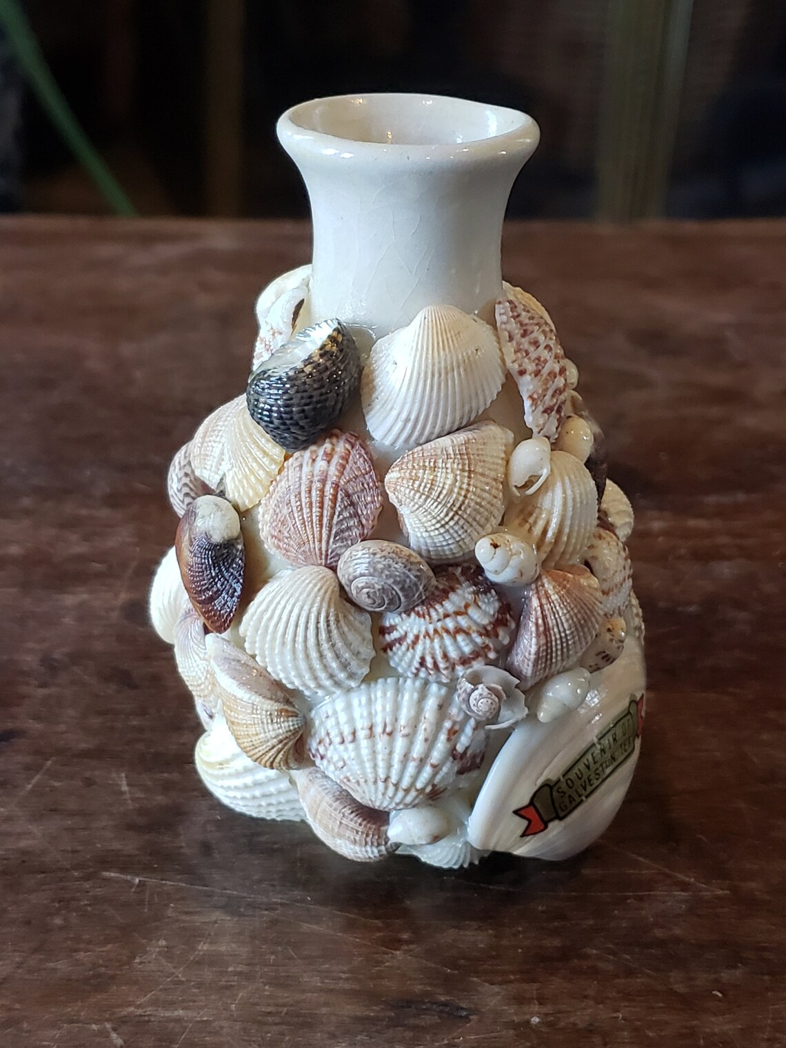 Vintage Shell Vase 1950s Galveston Texas Shell Vase Souvenir | Etsy