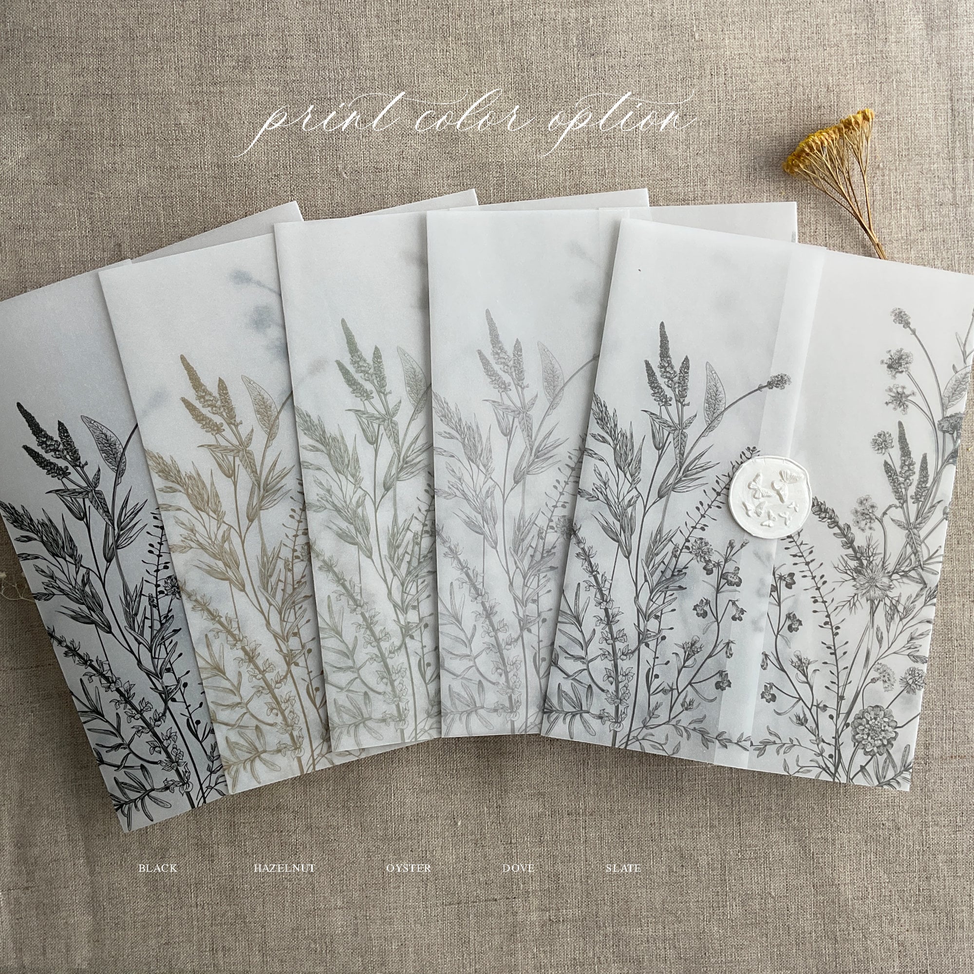 Botanical Vellum Jacket: English Garden Floral Wrap for 5x7 Card - Etsy