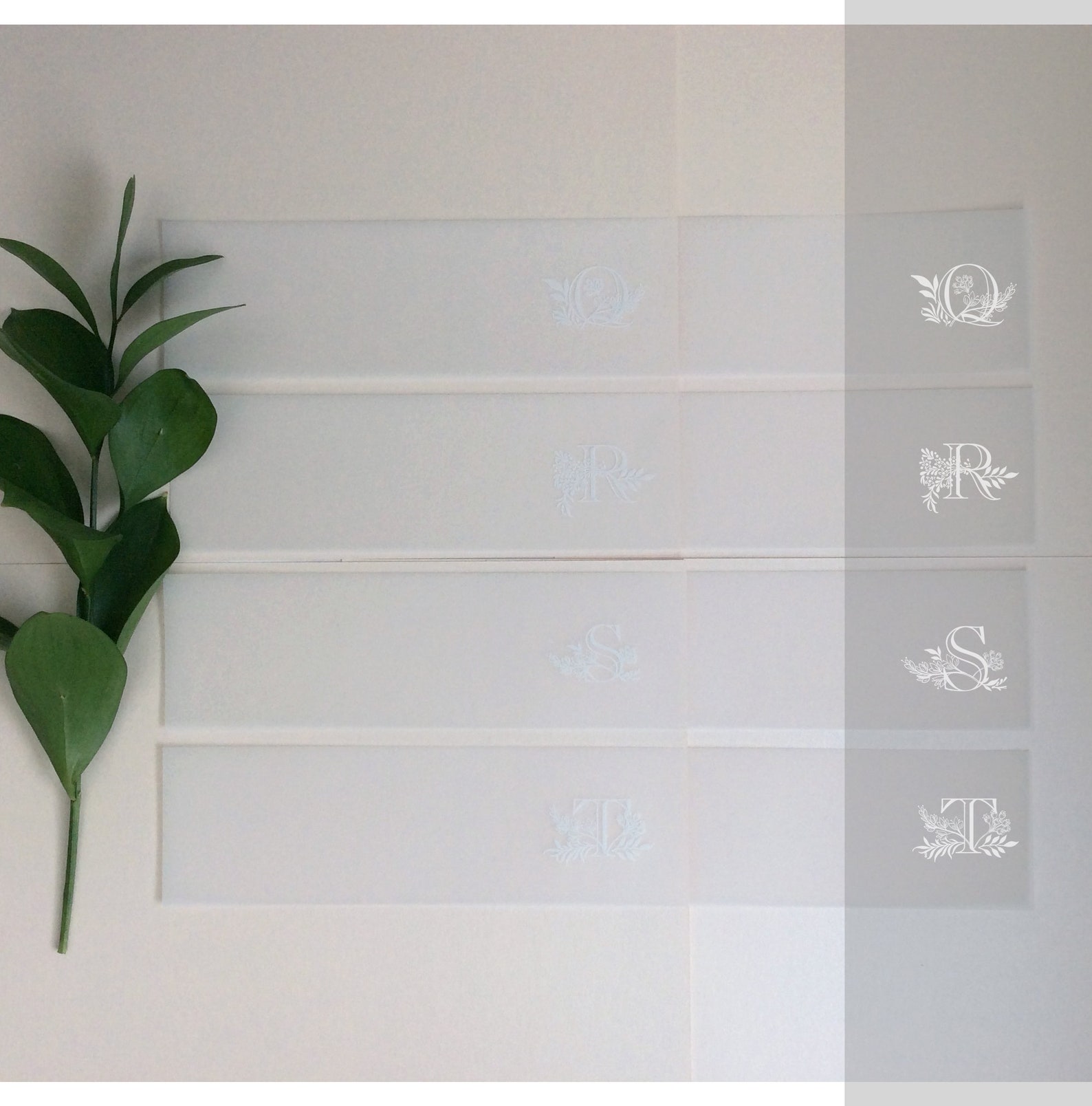 White Ink Printed White Translucent Vellum Belly Bands 2 Inch - Etsy