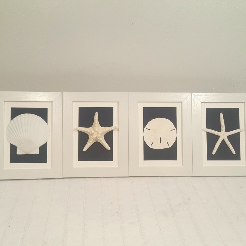 Framed Shell Art - Etsy