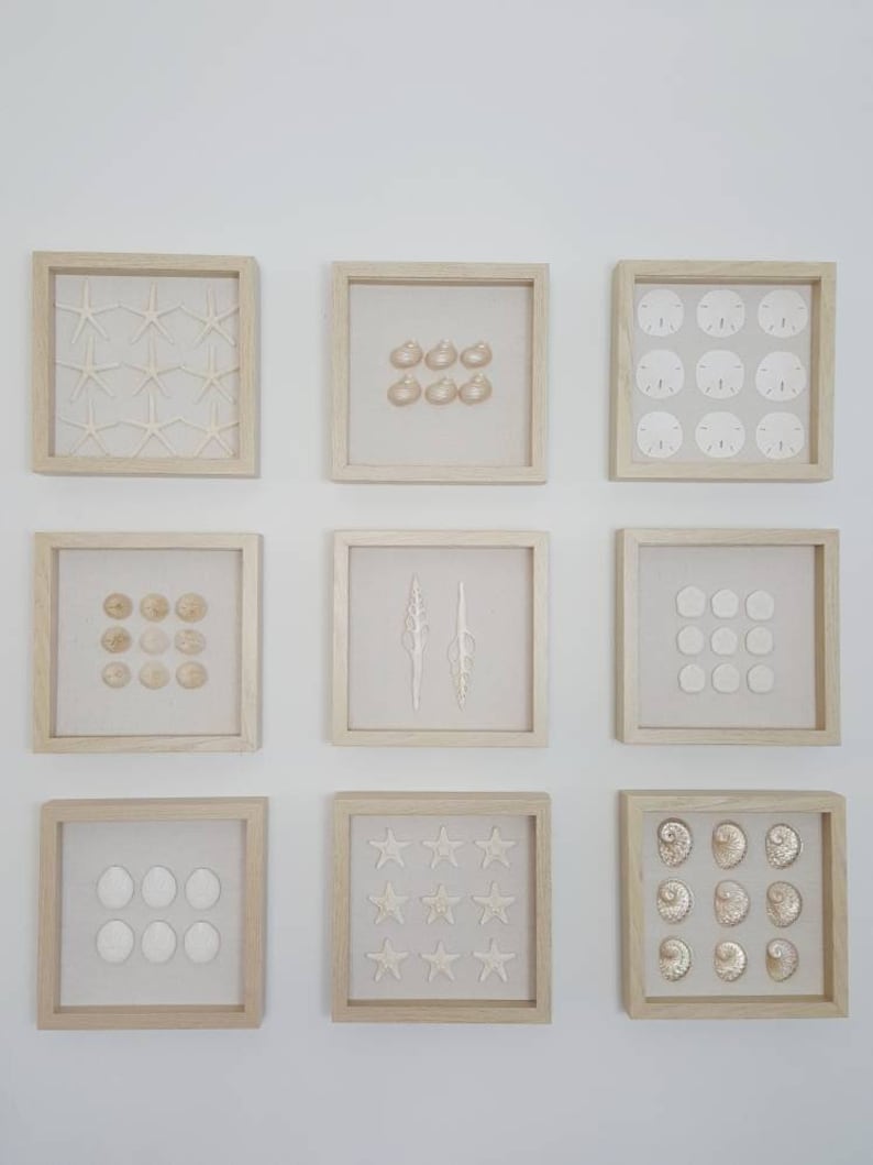Framed Seashell Gallery Wall Set, Beach Decor, 10" Shadowbox Frames - Etsy