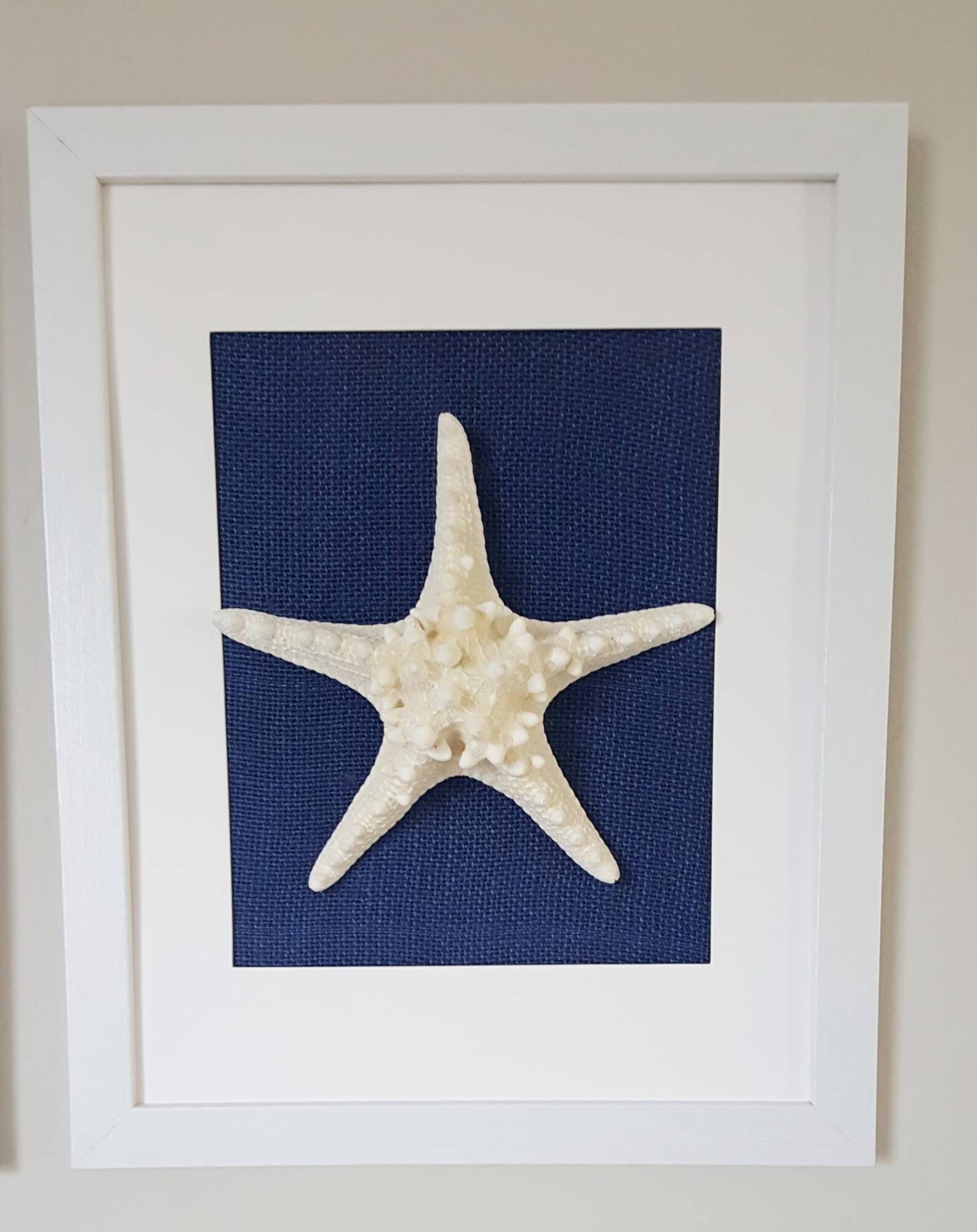 Set of 4 Framed Seashells Navy Blue Beach Decor Beach Wall - Etsy