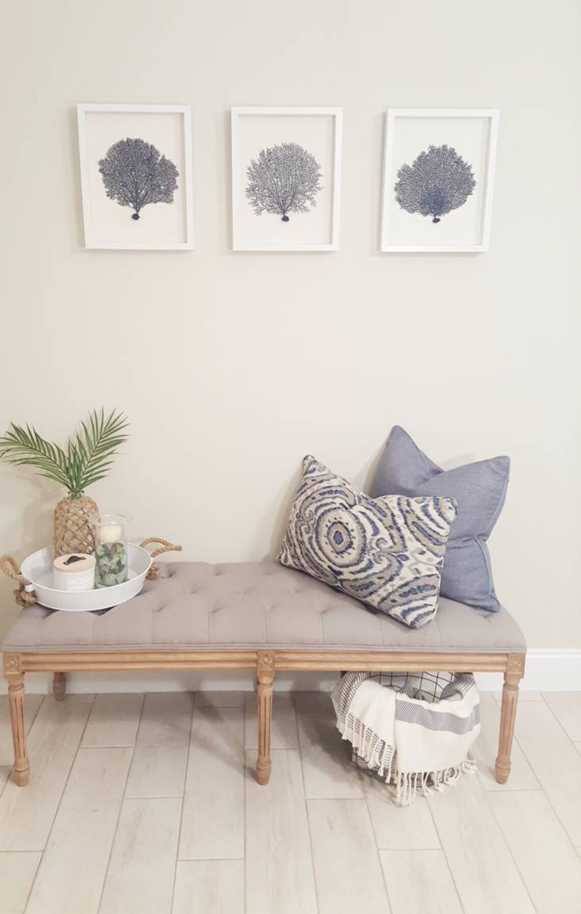 Set of 3 Framed Sea Fans Navy Blue Sea Fans Sea Fan Decor - Etsy