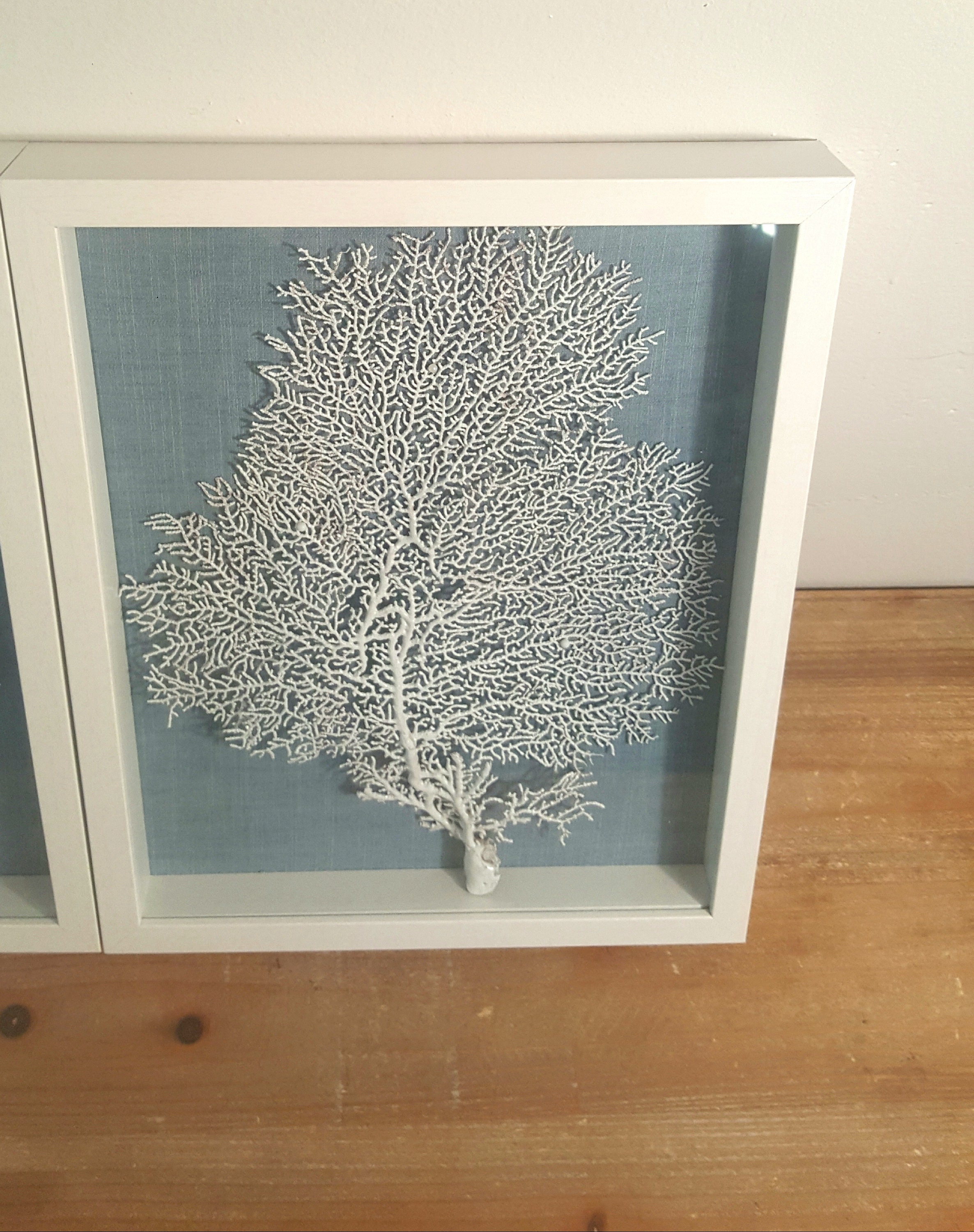 Set of 2 Framed Sea Fans White Sea Fans Sea Fan Art Sea Fan - Etsy