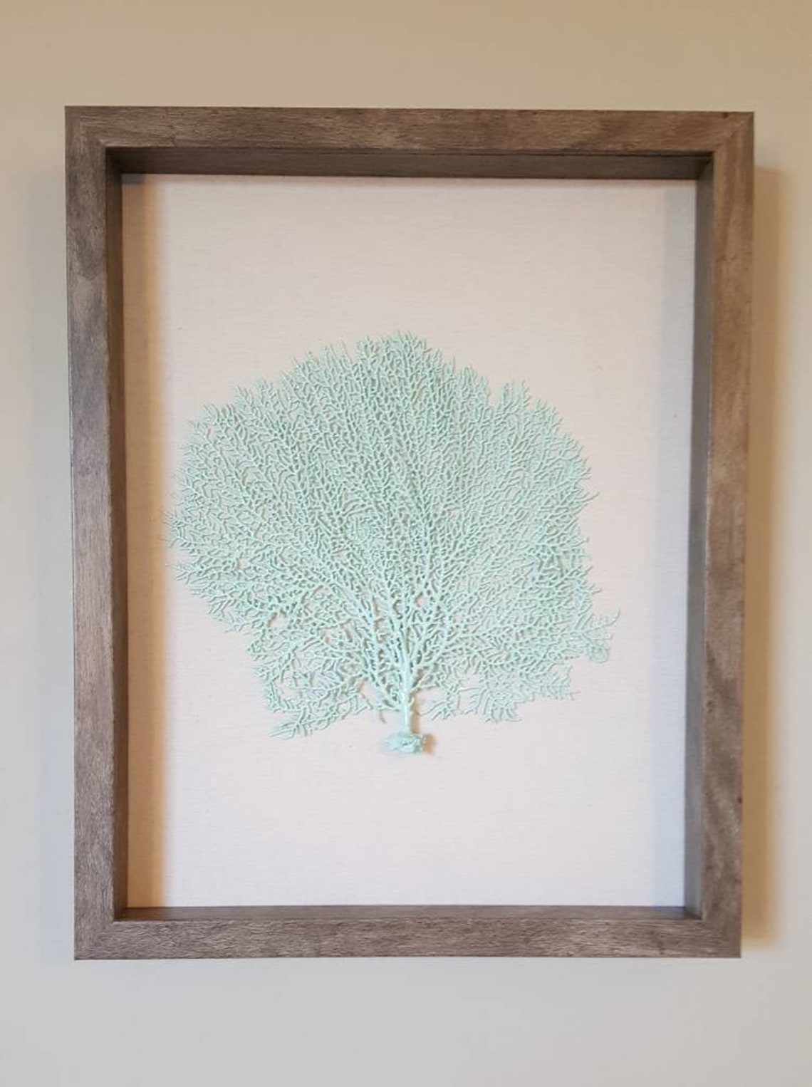 Set of 3 Framed Sea FansSea Foam Sea Fans Sea Fan Decor Sea | Etsy