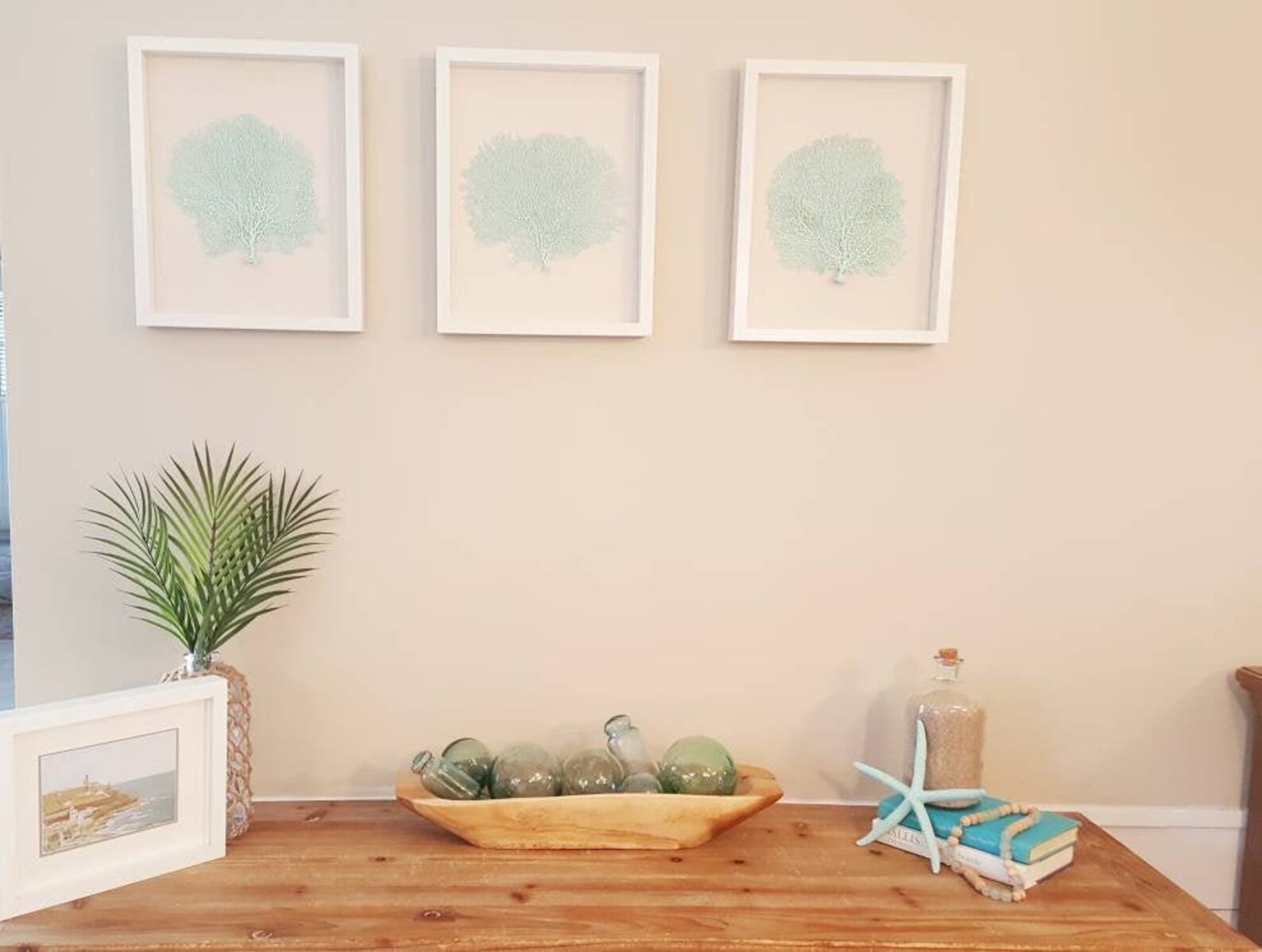 Set of 3 Framed Sea Fans Sea Foam Sea Fans Sea Fan Decor | Etsy