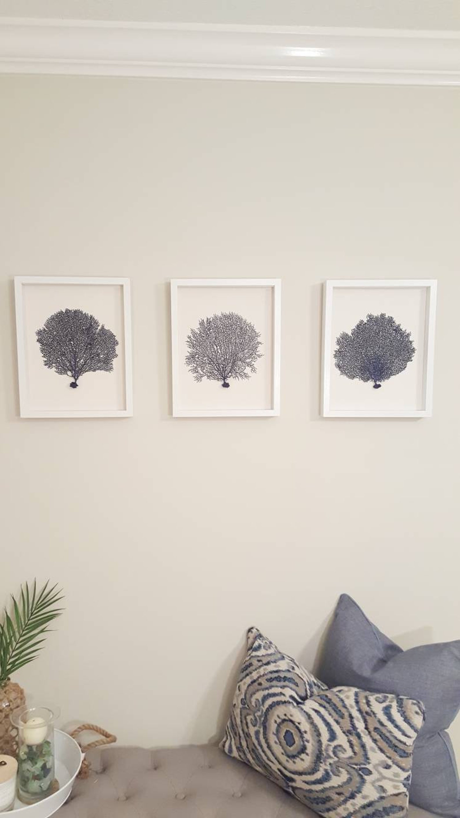 Set of 3 Framed Sea Fans Navy Blue Sea Fans Sea Fan Decor - Etsy