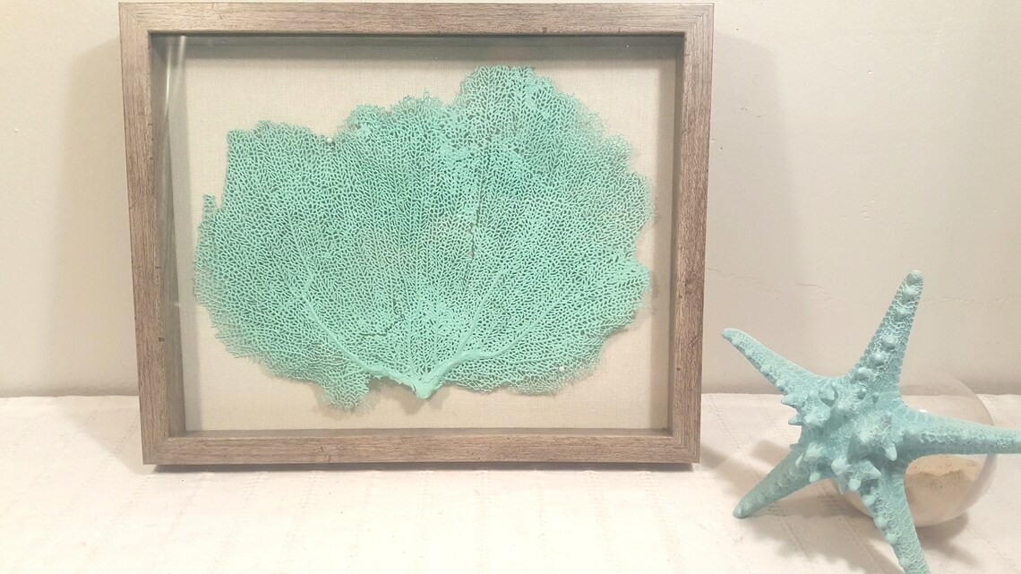 Set of 2 Framed Sea Fans Sea Foam Sea Fans Sea Fan Decor | Etsy