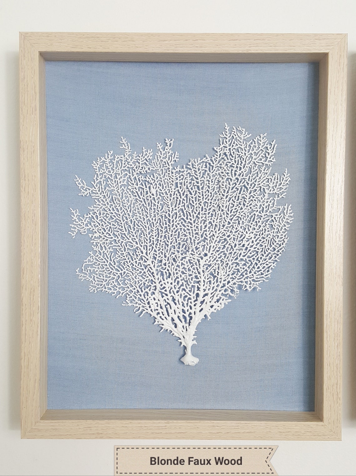 Set of 2 Framed Sea Fans White Sea Fans Coastal Decor Sea - Etsy
