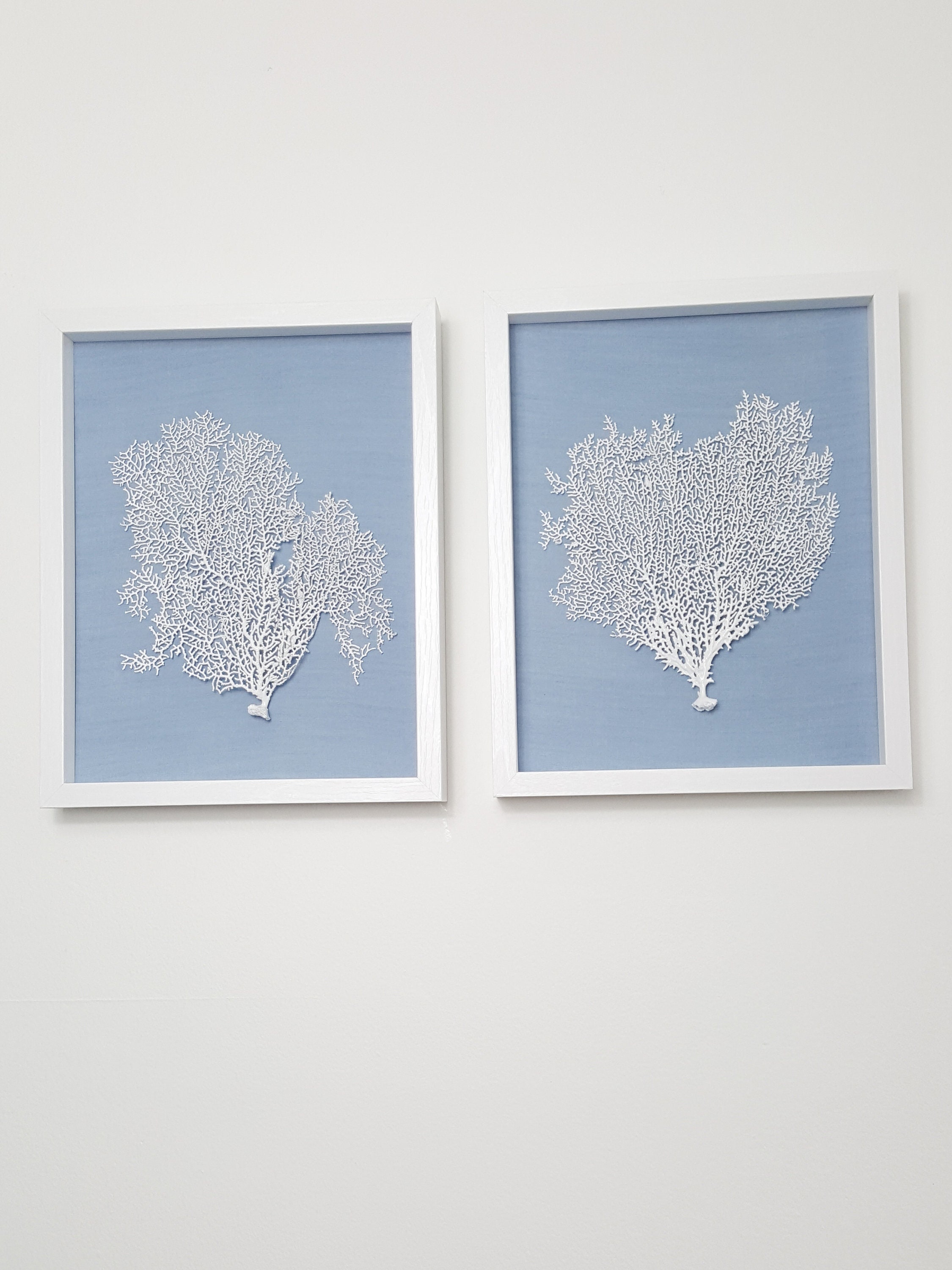 Set of 2 Framed Sea Fans White Sea Fans Coastal Decor Sea - Etsy