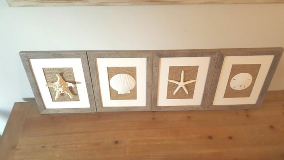 Set of 4 Framed Seashells Beach Entryway Decor Beach Wall | Etsy