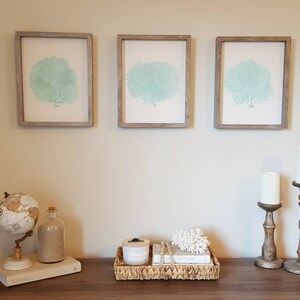 Set of 3 Framed Sea Fans,sea Foam Sea Fans, Sea Fan Decor, Sea Fan Art ...