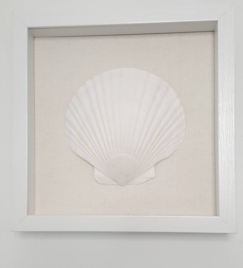 Set of 3 Framed Seashells Home Decor Coastal Housewarming - Etsy