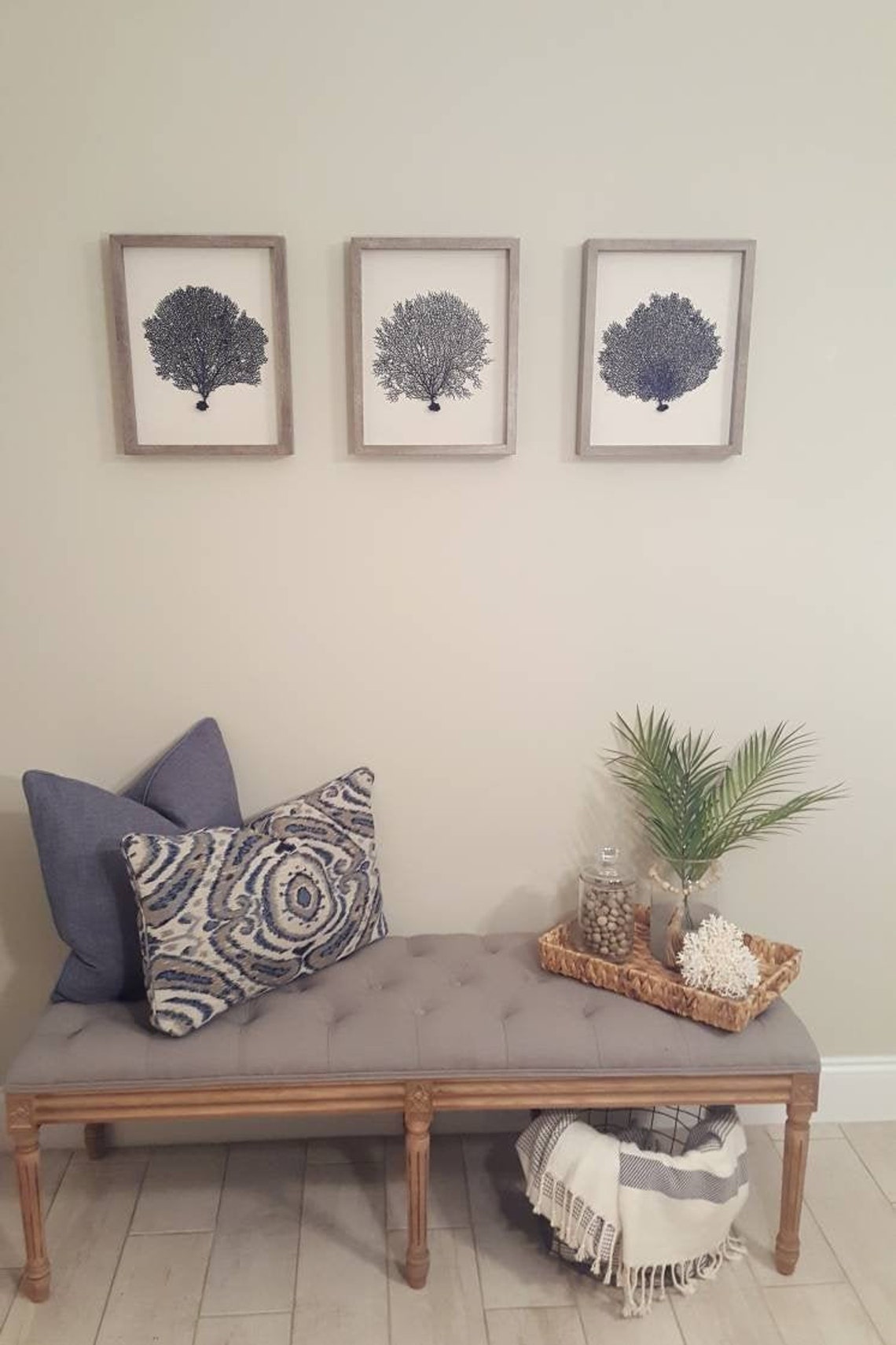 Set of 3 Framed Sea Fans Navy Blue Sea Fans Sea Fan Decor | Etsy