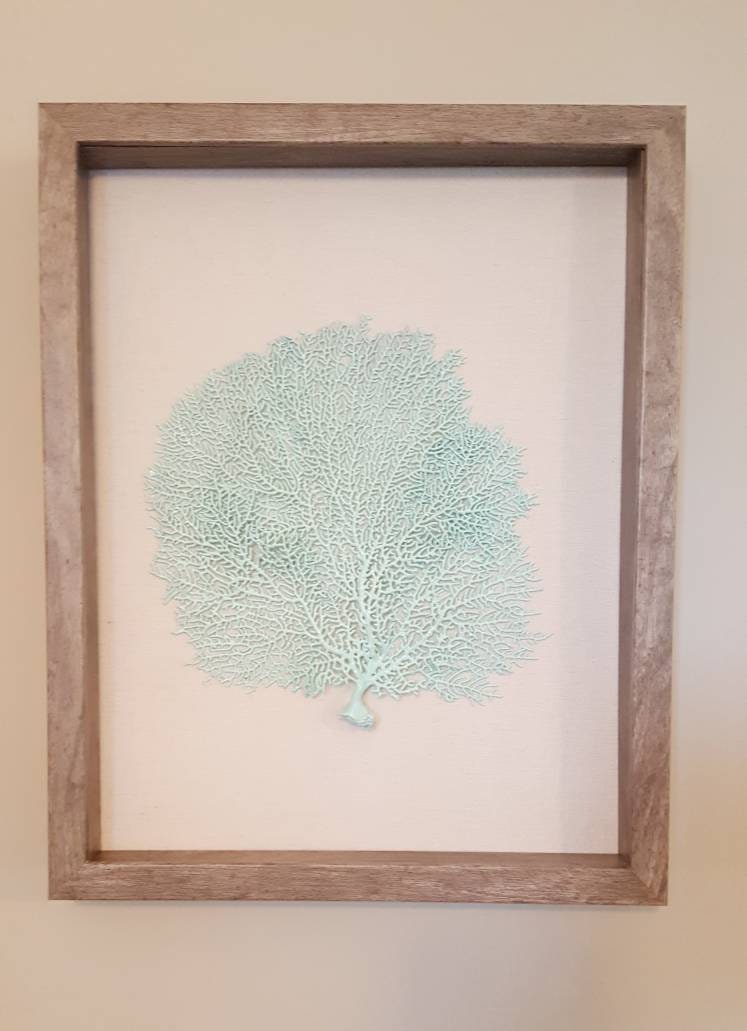 Set of 3 Framed Sea FansSea Foam Sea Fans Sea Fan Decor Sea | Etsy