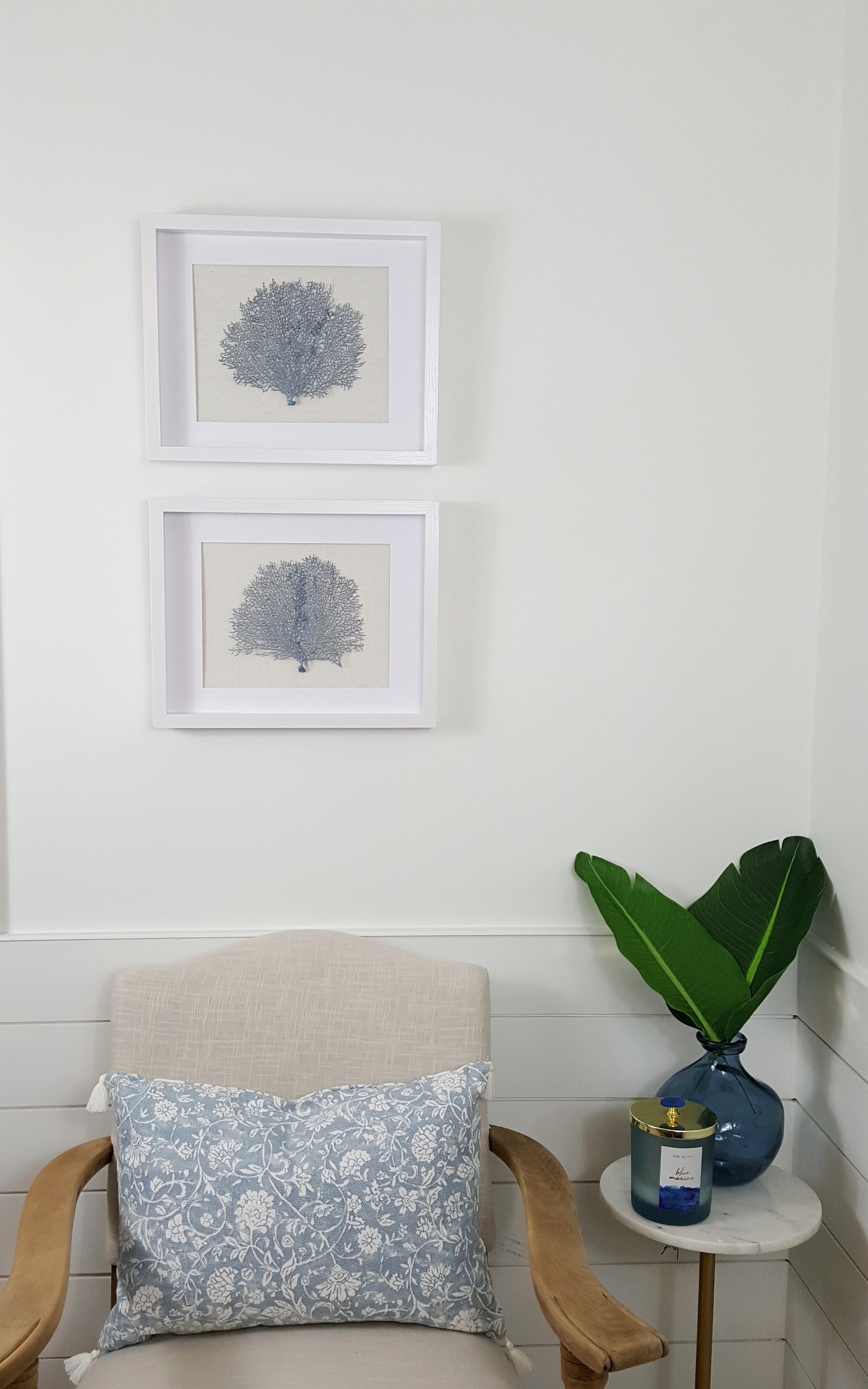 Set of 2 Framed Sea Fans Sea Fan Art Sea Fan Decor Sea - Etsy