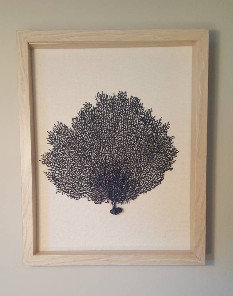 Set of 3 Framed Sea Fans Navy Blue Sea Fans Sea Fan Decor - Etsy