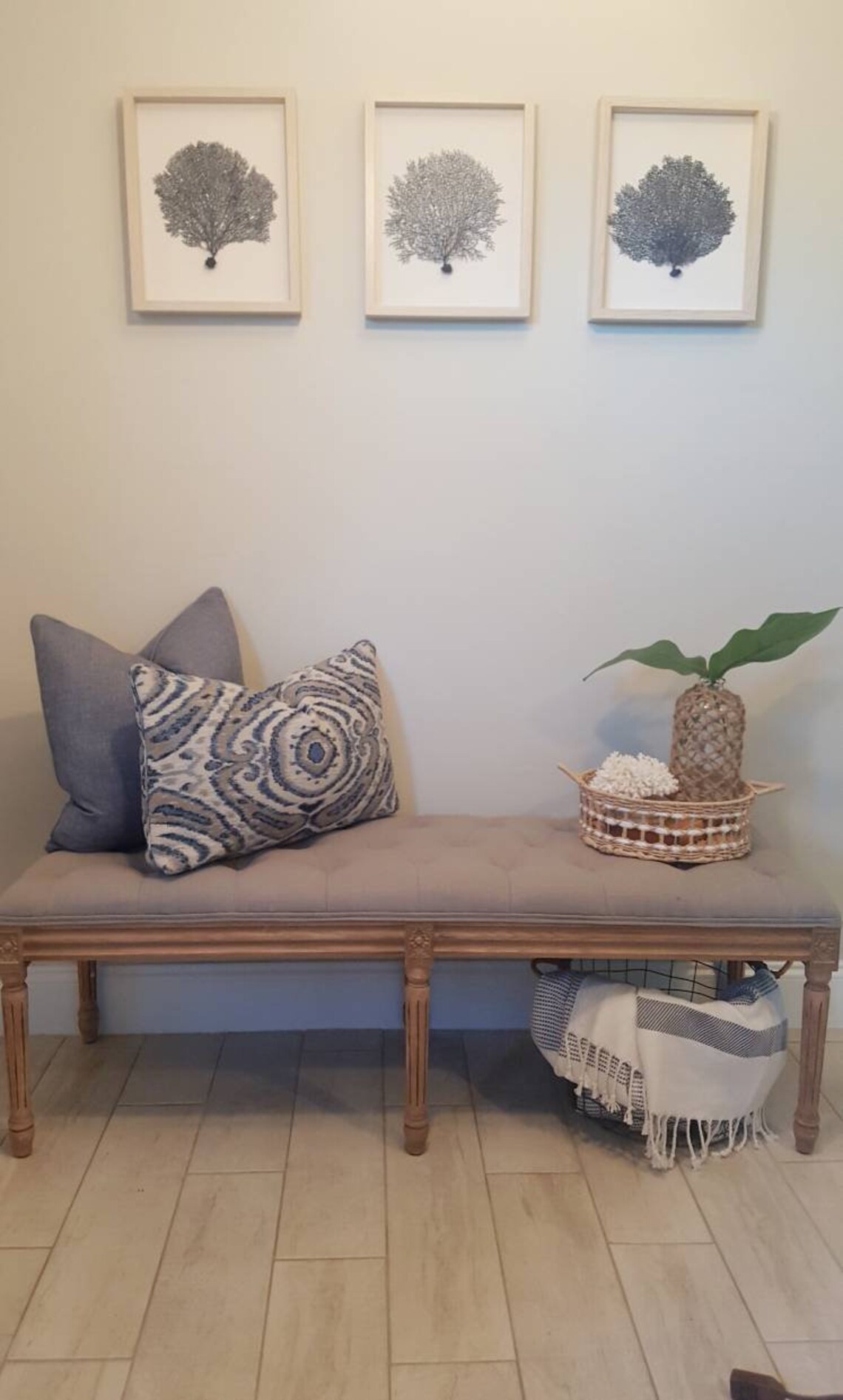 Set of 3 Framed Sea Fans Navy Blue Sea Fans Sea Fan Decor - Etsy