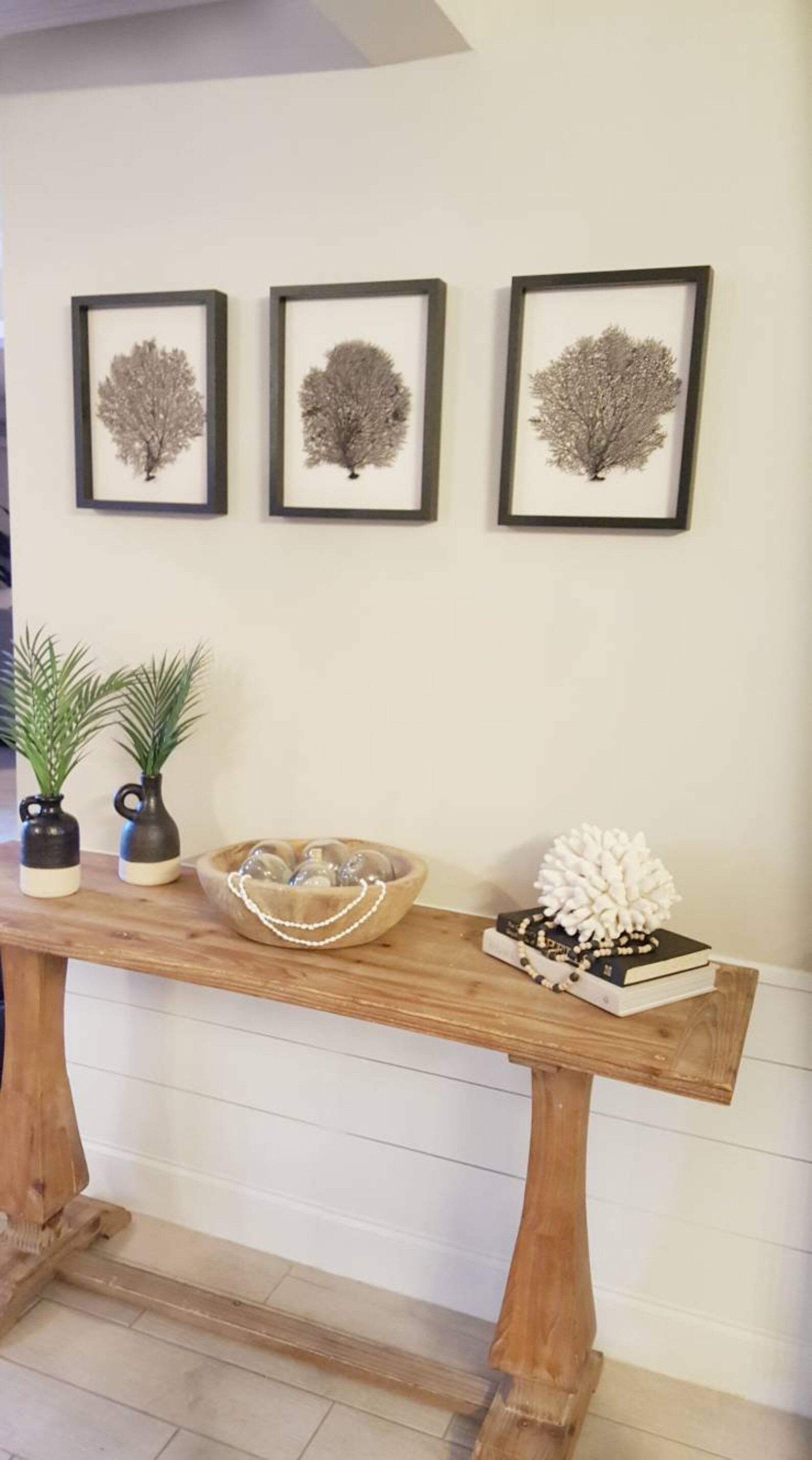 Set of 3 Framed Sea Fansblack Sea Fans Sea Fan Decor Sea | Etsy