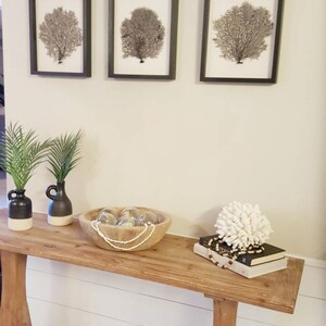 Set of 3 Framed Sea Fans,black Sea Fans, Sea Fan Decor, Sea Fan Art ...