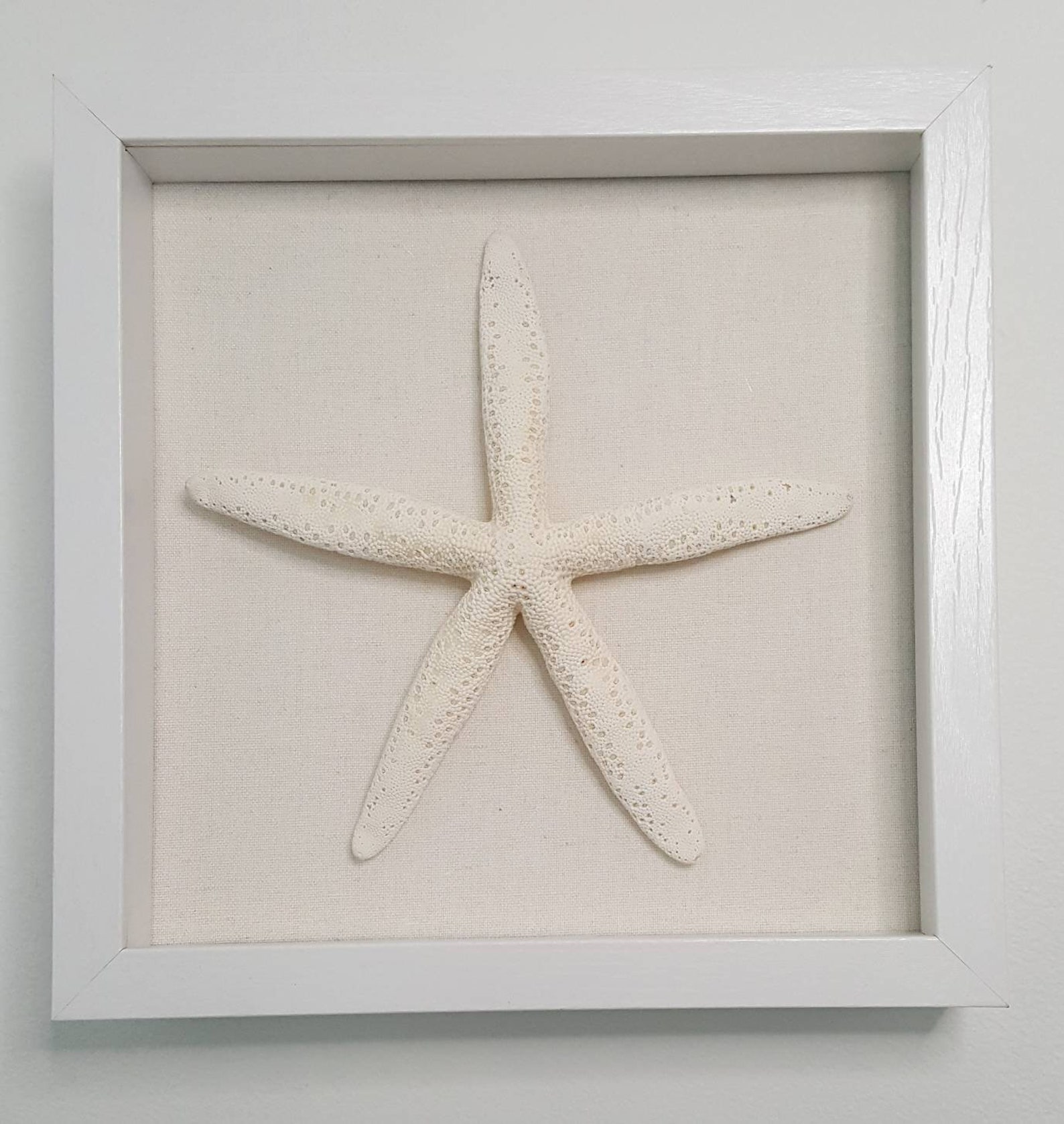 Set of 3 Framed Seashells Home Decor Coastal Housewarming - Etsy