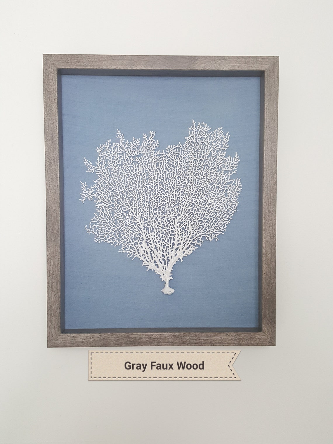 Set of 2 Framed Sea Fans White Sea Fans Coastal Decor Sea - Etsy