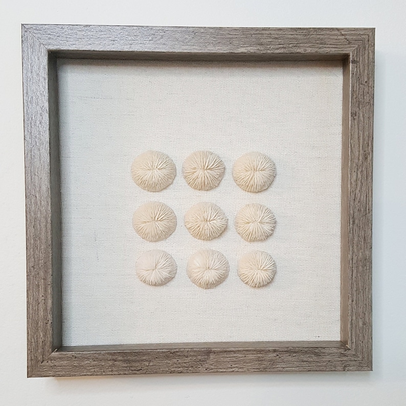 Set of 9, Framed Seashells, Framed Starfish, Framed Sand Dollar ...