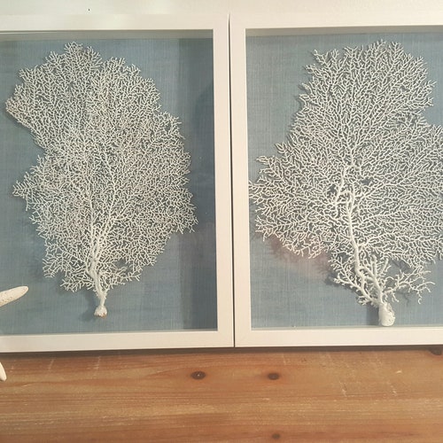 Set of 2 Framed Sea Fans White Sea Fans Sea Fan Art Sea Fan - Etsy