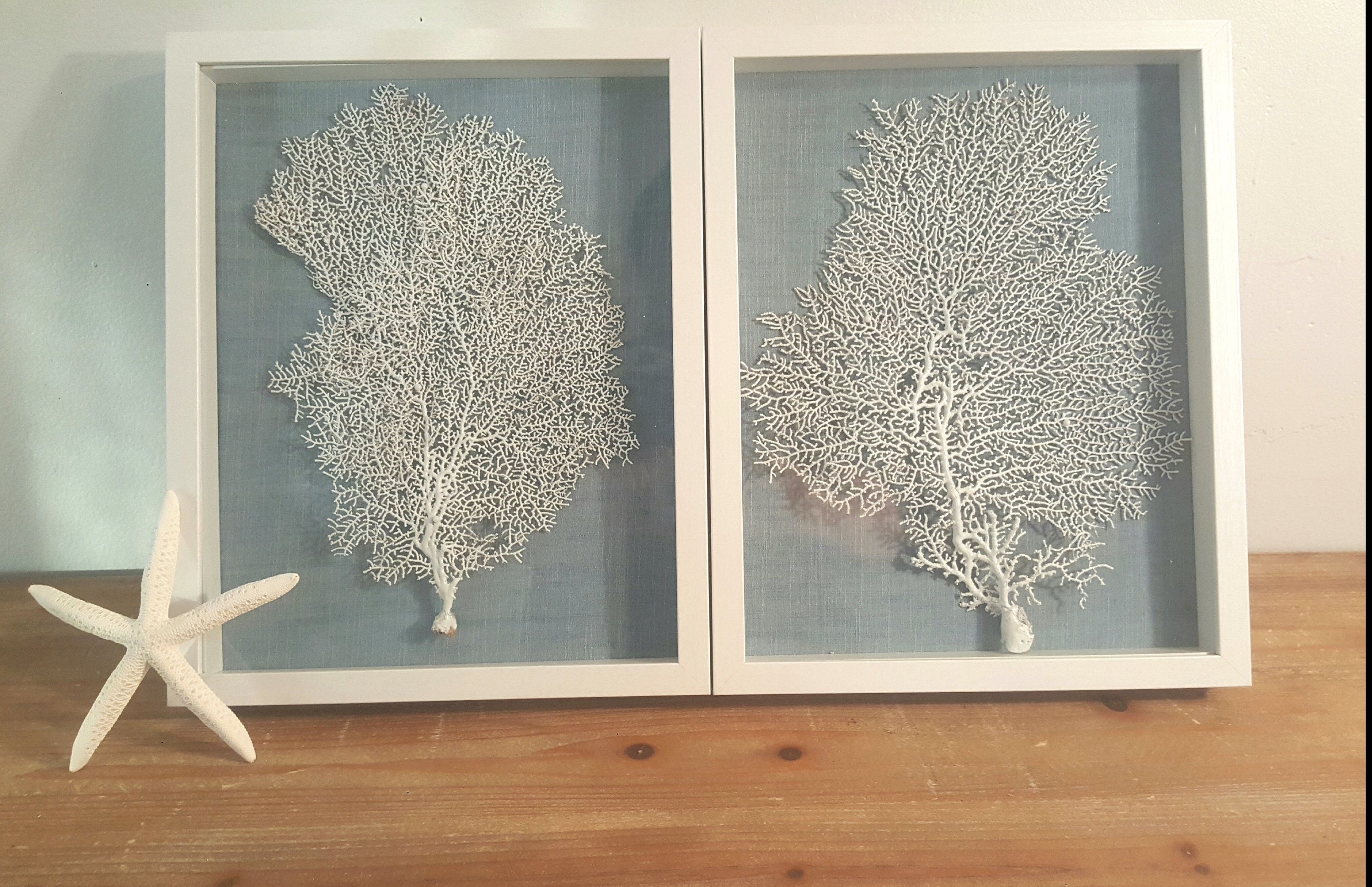 Set of 2 Framed Sea Fans White Sea Fans Sea Fan Art Sea Fan - Etsy