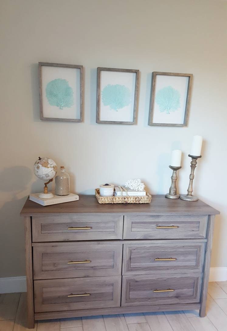 Set of 3 Framed Sea Fans,sea Foam Sea Fans, Sea Fan Decor, Sea Fan Art ...