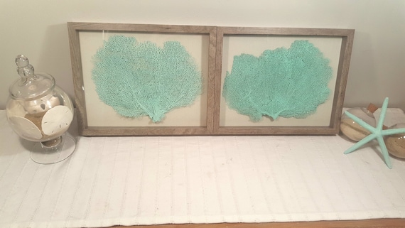 Set of 2 Framed Sea Fans Sea Foam Sea Fans Sea Fan Decor | Etsy