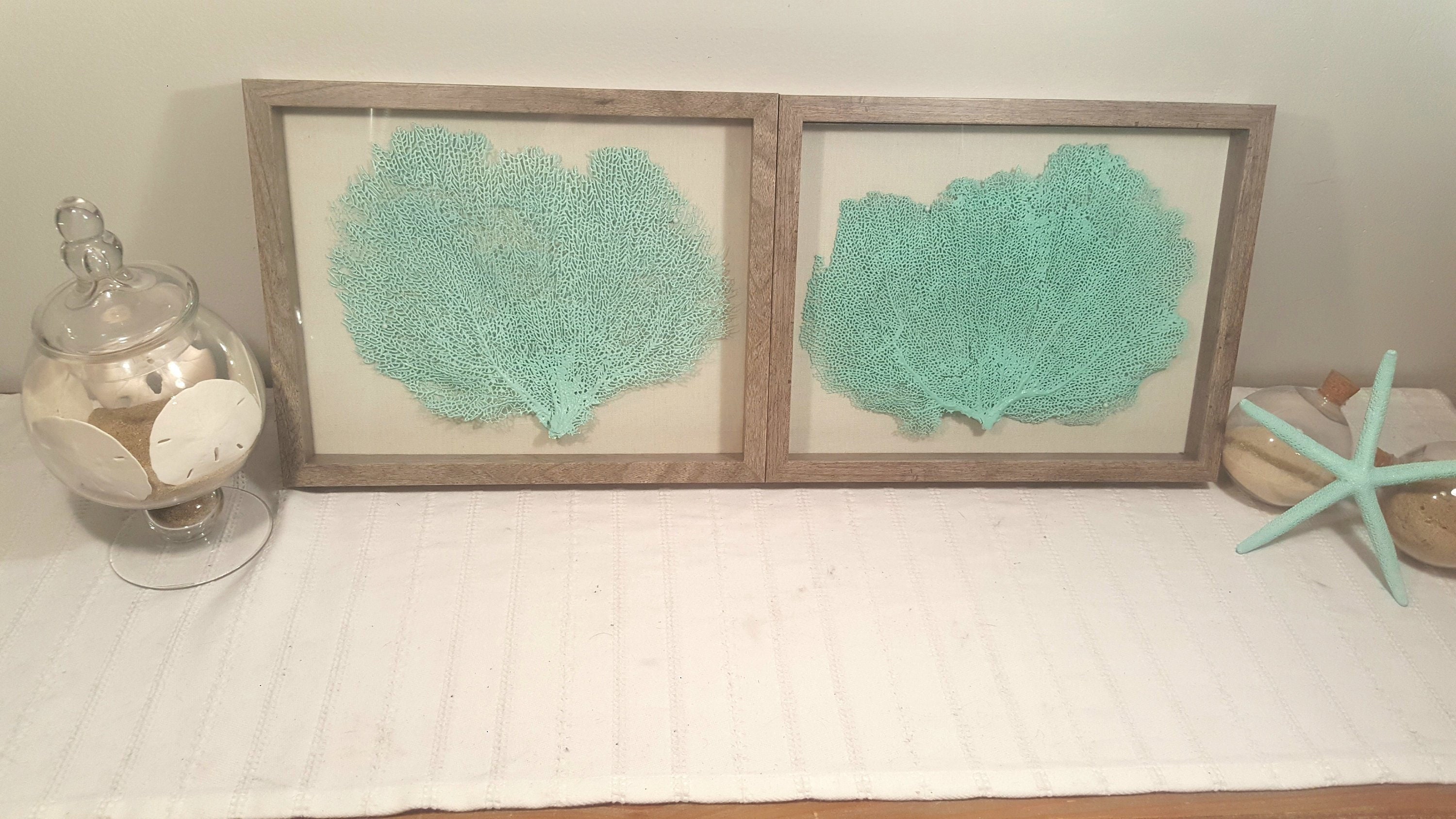 Set of 2 Framed Sea Fans Sea Foam Sea Fans Sea Fan Decor | Etsy