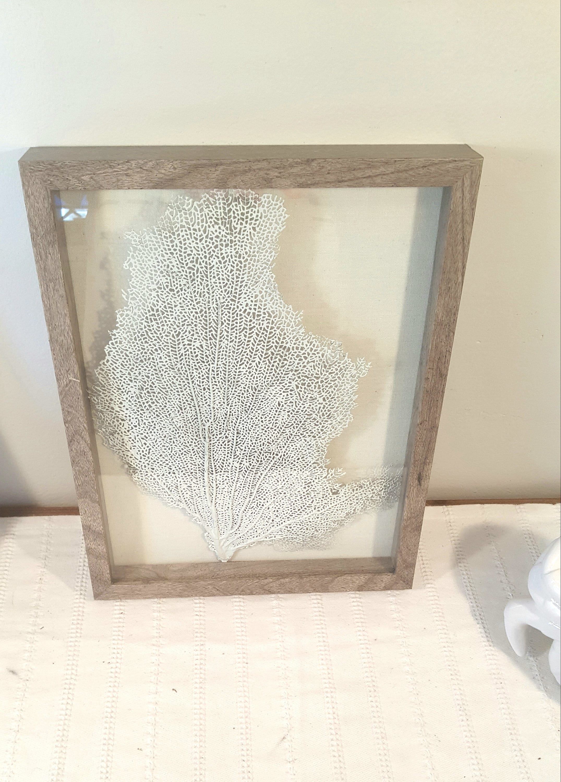 Set of 2 Framed Sea Fans, White Sea Fans, Sea Fan Art, Sea Fan Decor ...