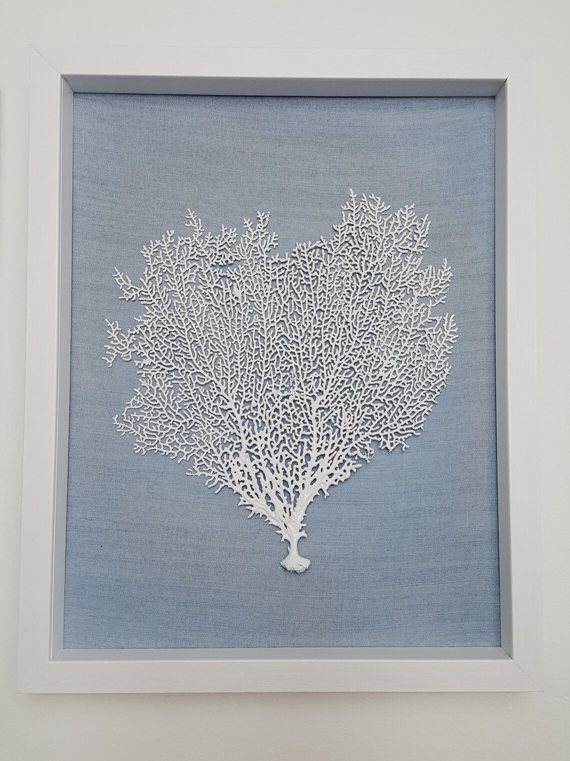 Set of 2 Framed Sea Fans White Sea Fans Coastal Decor Sea - Etsy
