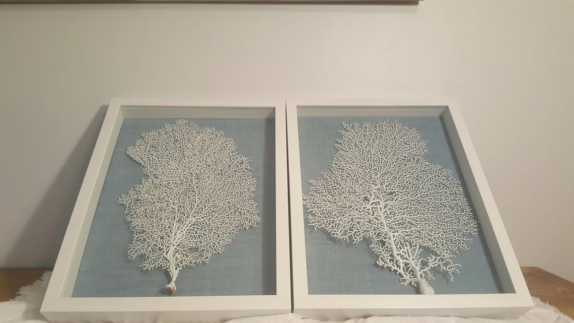 Set of 2 Framed Sea Fans White Sea Fans Sea Fan Art Sea Fan - Etsy