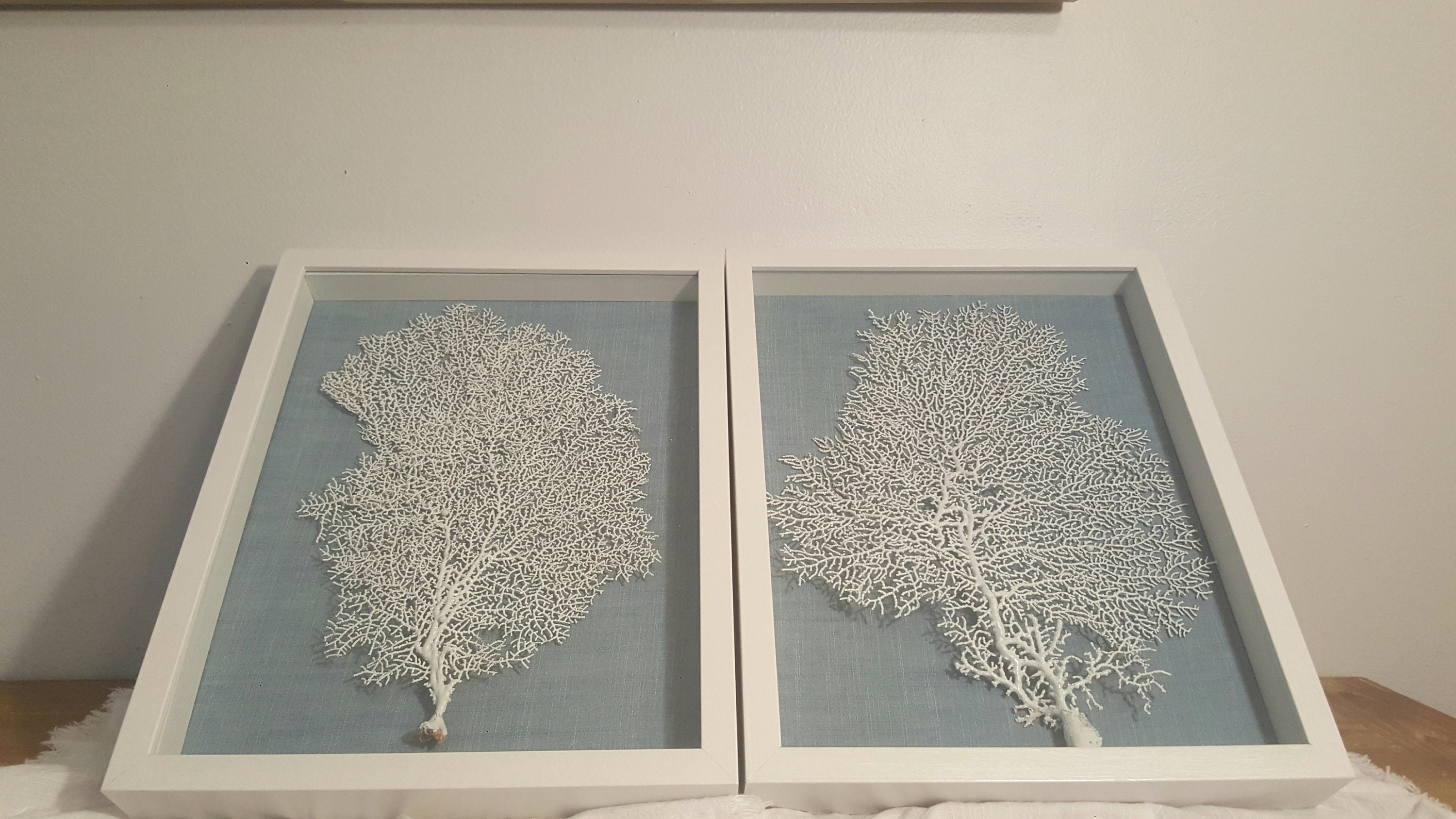 Set of 2 Framed Sea Fans White Sea Fans Sea Fan Art Sea Fan - Etsy
